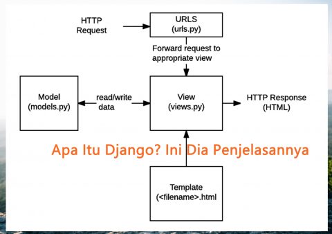 Apa Itu Django? Ini Dia Penjelasannya | AMAR STATISTIKA Konsultan